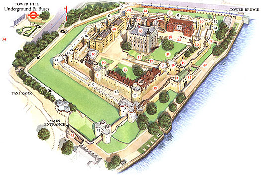 Visitor's Information